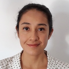 Guadalupe Patricia del Razo Martínez – The Conversation