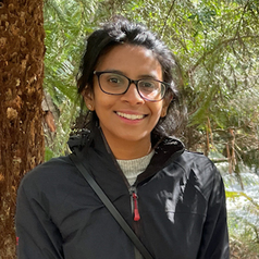 Hasthi Dissanayake – The Conversation